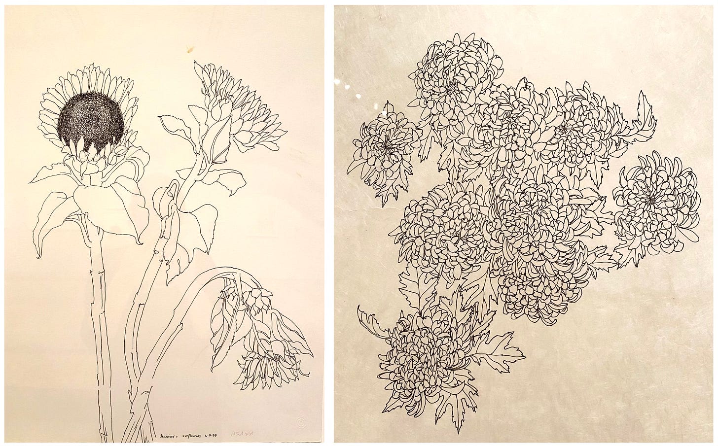 Ruth Asawa's Flowers - by Wendy MacNaughton