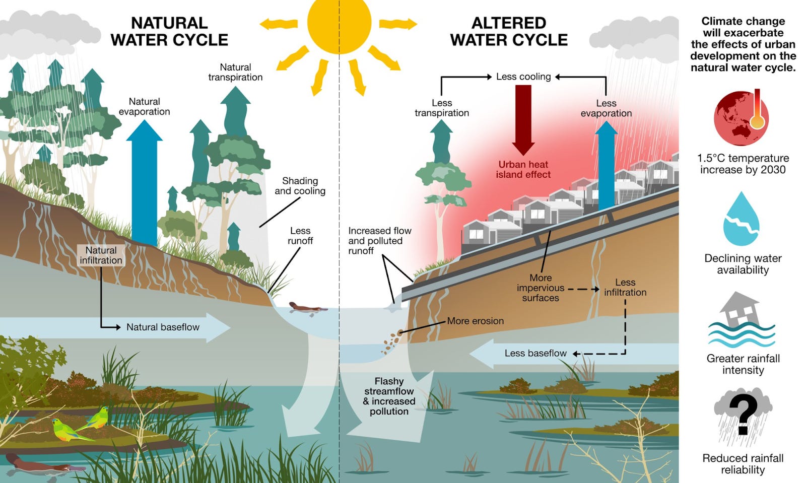 The AGS Globe: How Urban Landscapes Shape Runoff and Water Pollution