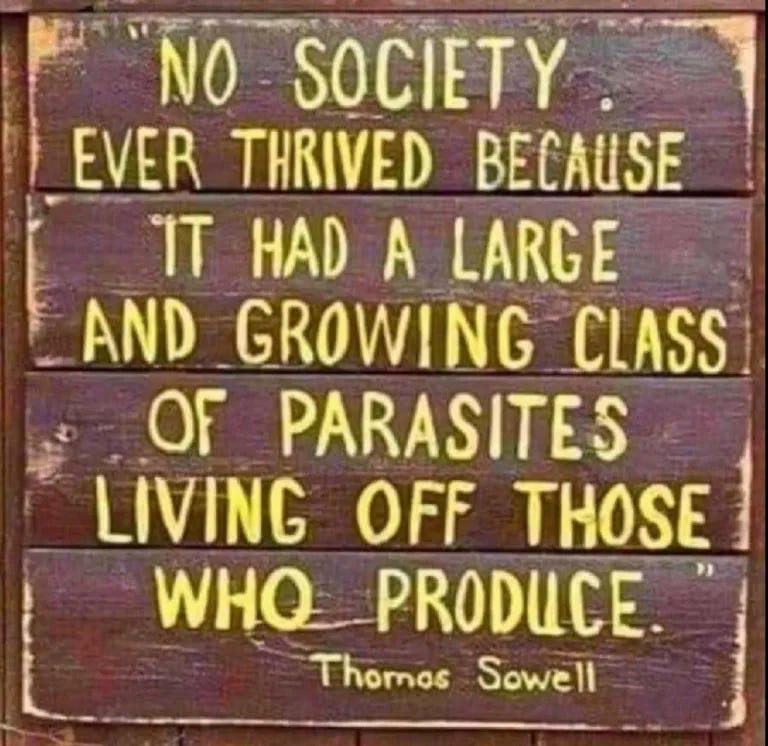 ANN BARNHARDT MEME - Edwin’s Newsletter #1