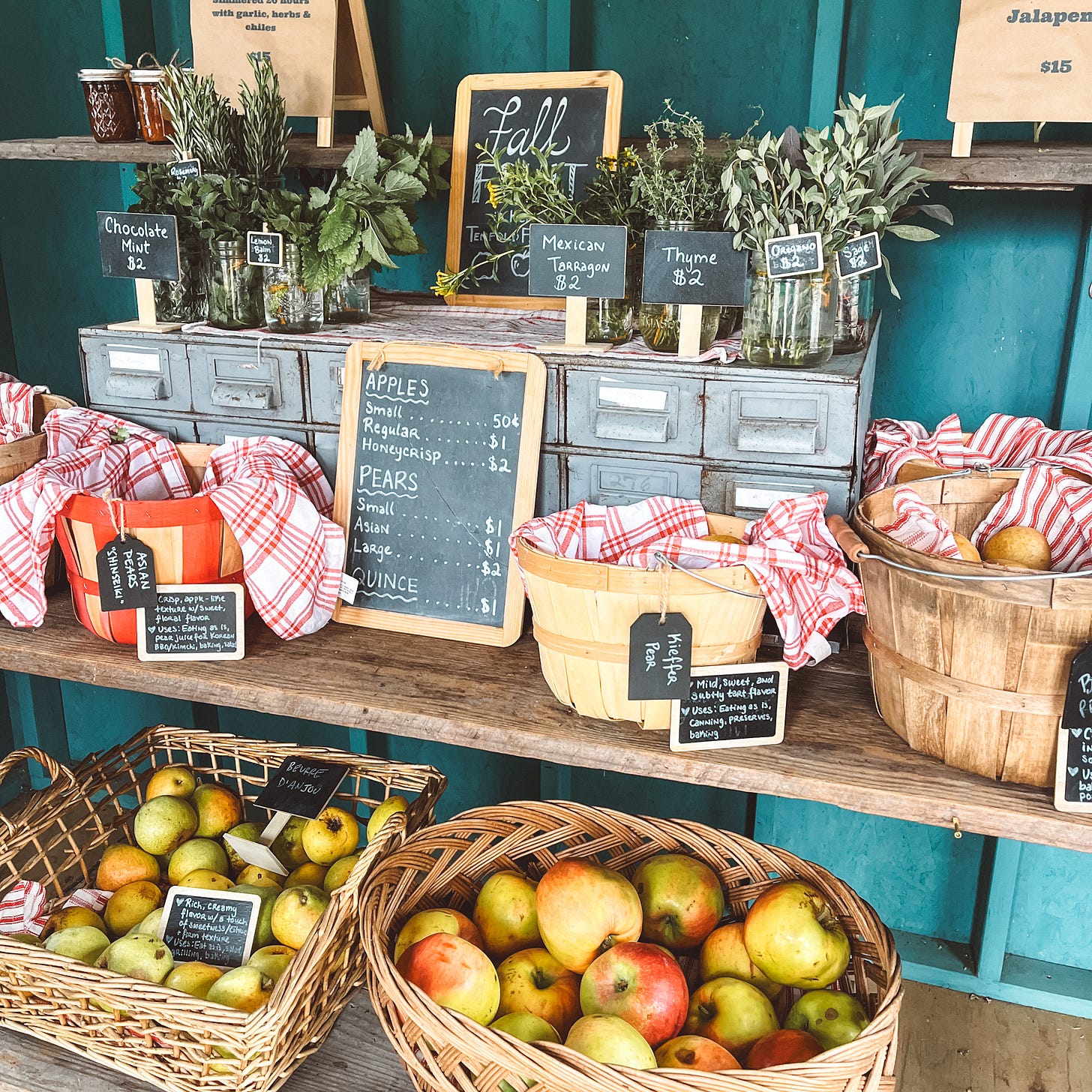 catherine clark bread