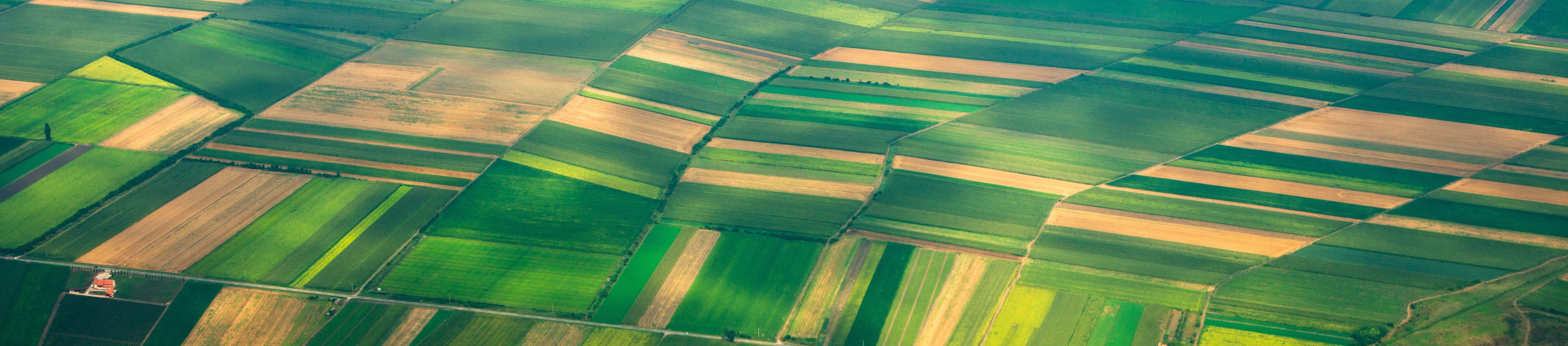 The Role Food Plays in Exceeding the Climate Change Planetary Boundary