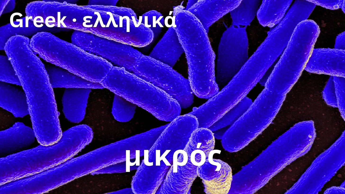 Greek Word : μικρός - by Alec de Bethune - Greek Words
