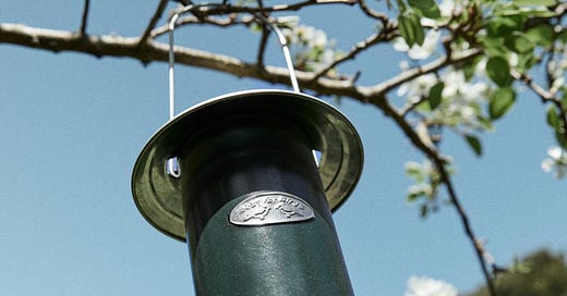 Things Worth Knowing with Farrah Storr | Farrah @Substack | Substack