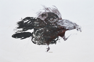 VivariumBR’s Substack | Tales Sabará | Substack