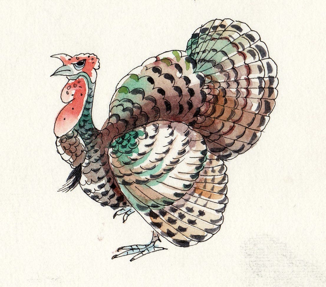 The Turkey has a Foreign Face - Elisabeth Luard's Cookstory
