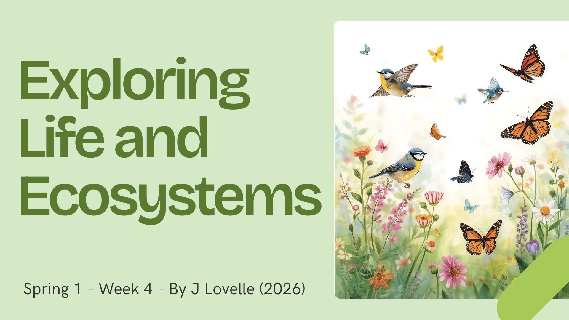 Week 4: Exploring Life and Ecosystems in Devon
