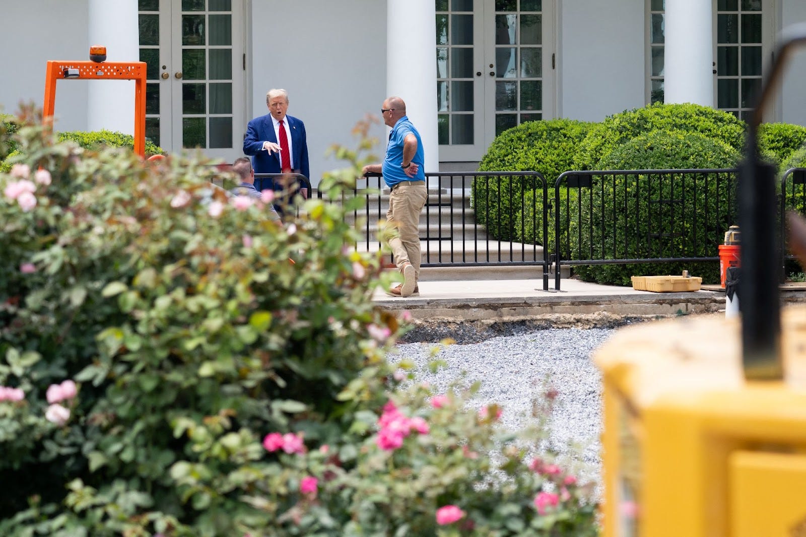 White House Rose Garden Lawn Bulldozed - by Jennifer Taylor