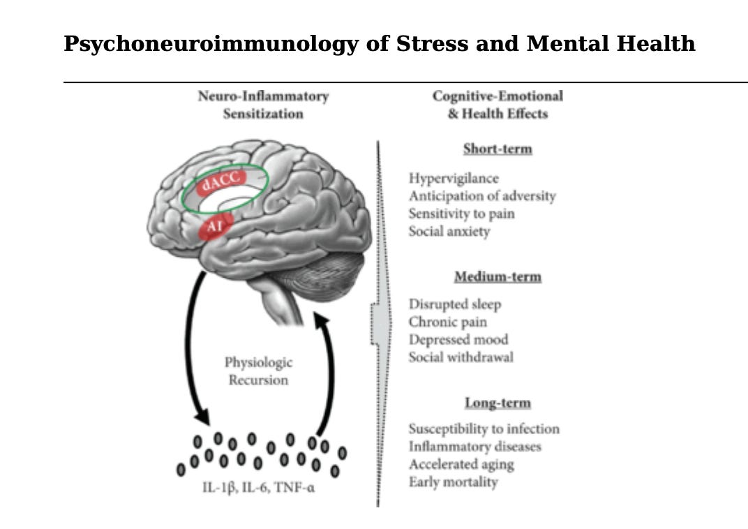 When Stress Rewrites the Body: The Science of Mind, Immunity, and Health