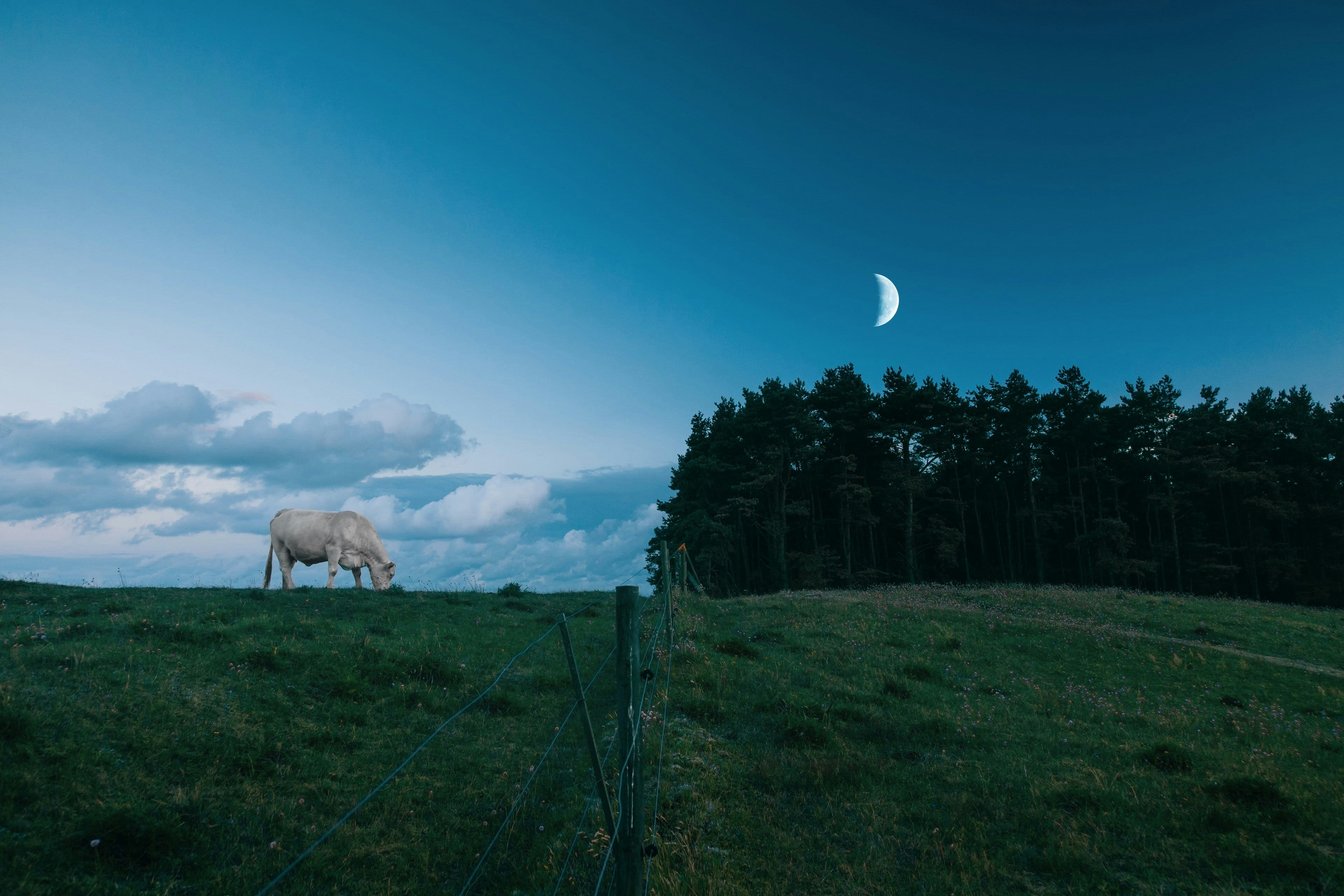 The Germanic Lunar Calendar - by Elissa - Our Merry Folk