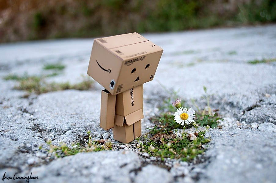 Danbo: The Cardboard Robot That Conquered the World