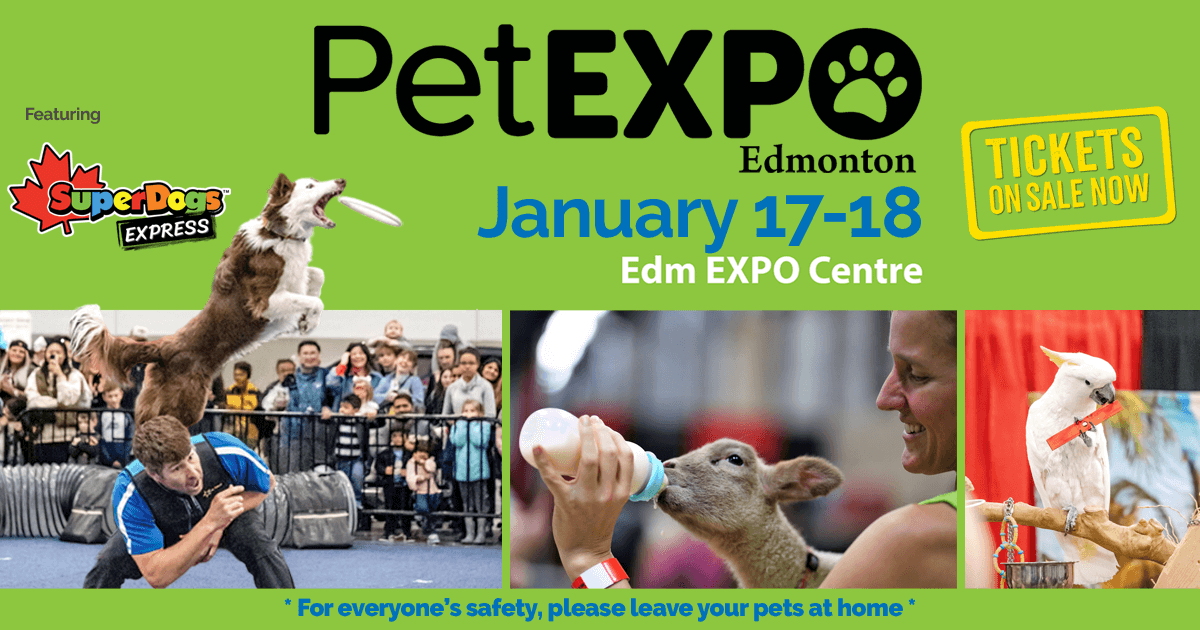 Here are the BEST Things to do in Edmonton this Weekend - January 16-18 ...