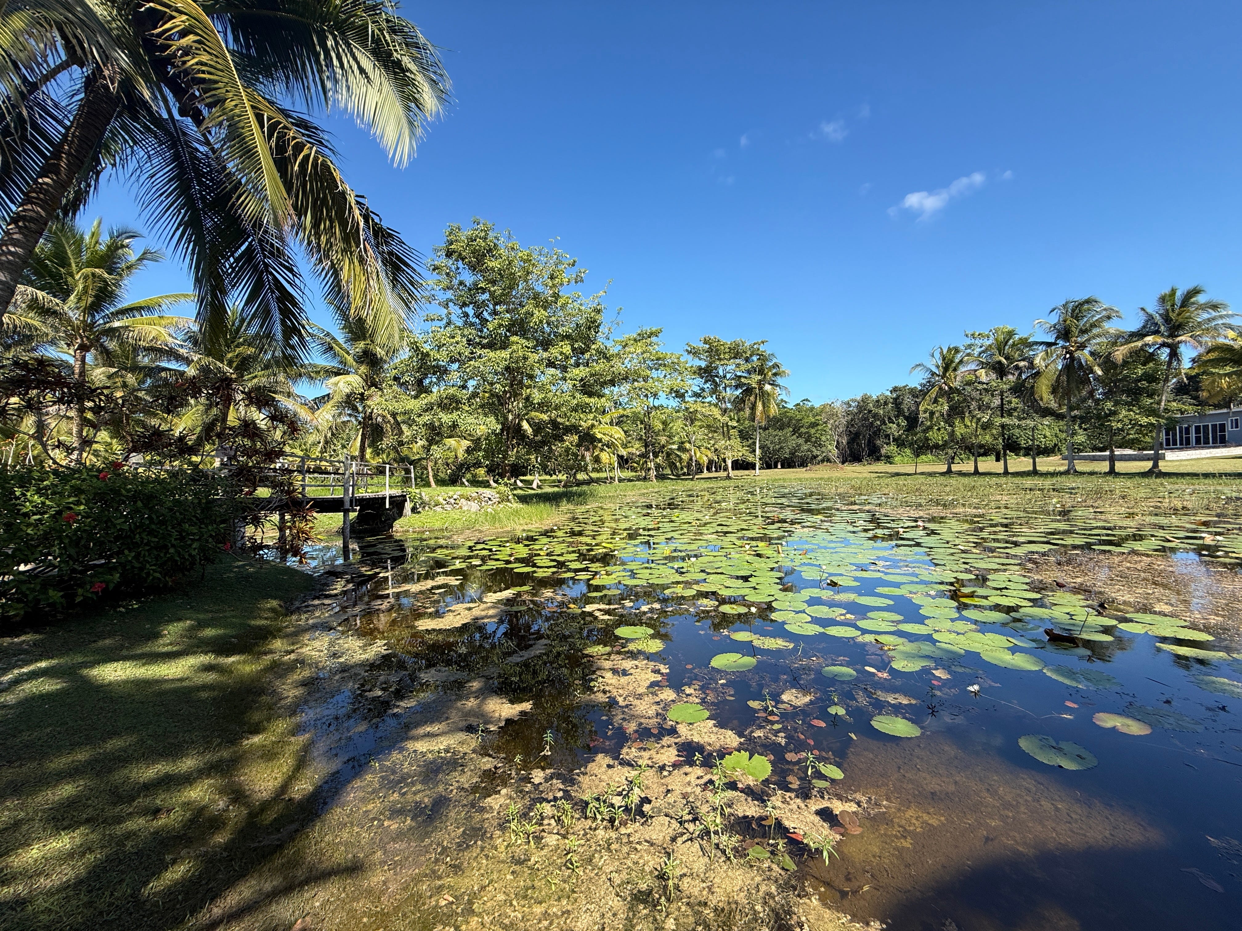 Caribbean Cruise Adventures