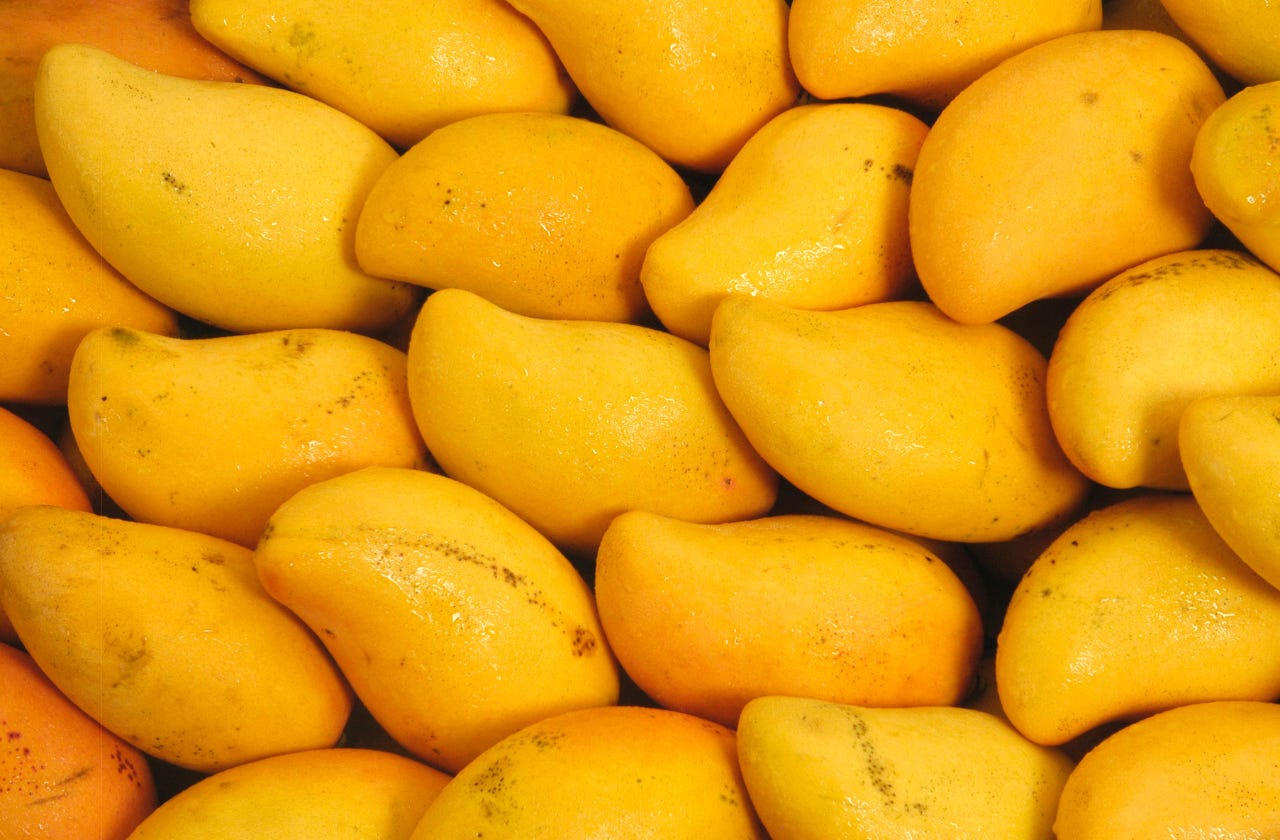 The Philippine Mango - by Edge Genosa