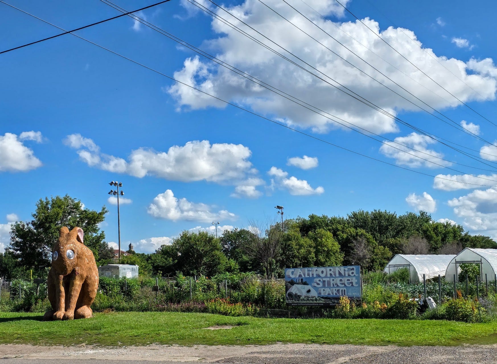 About Minneapolis - by Lirpa Strike - Just Saying