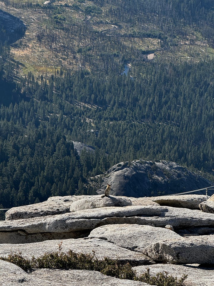 Half Dome Permits: How the Lottery Actually Works (2026)