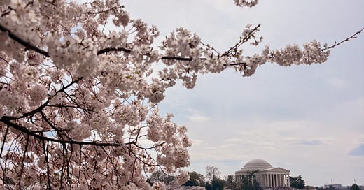 people's princess | sarah cucchiara | Substack