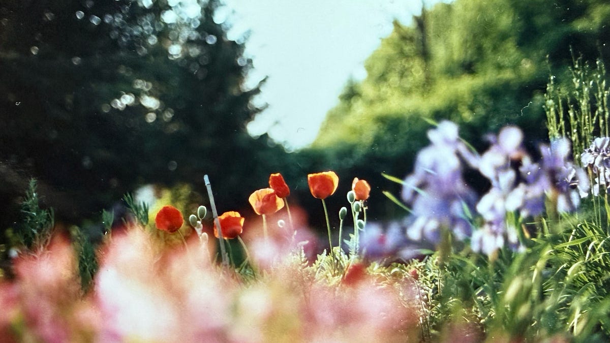 Memory is an Unreliable Narrator, Print Your Photos