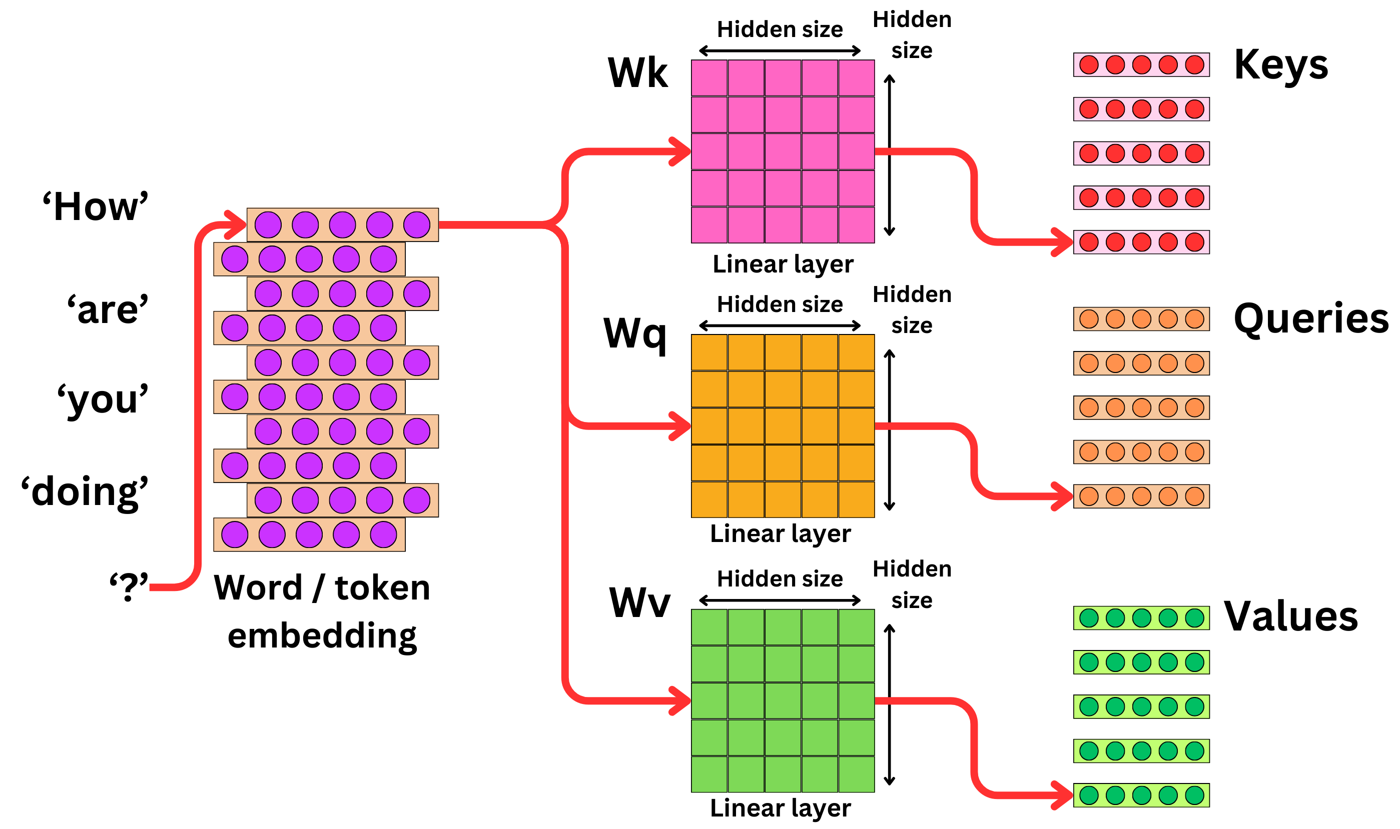 Understanding The Self-Attention Mechanism