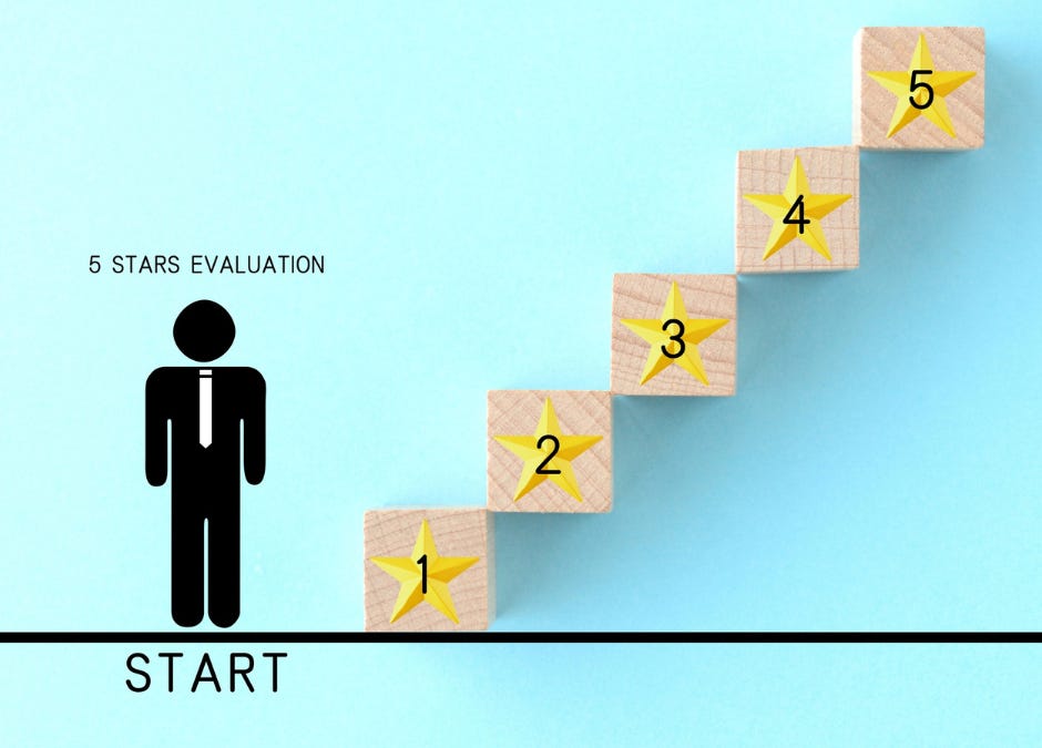 What does good senior executive performance look like?