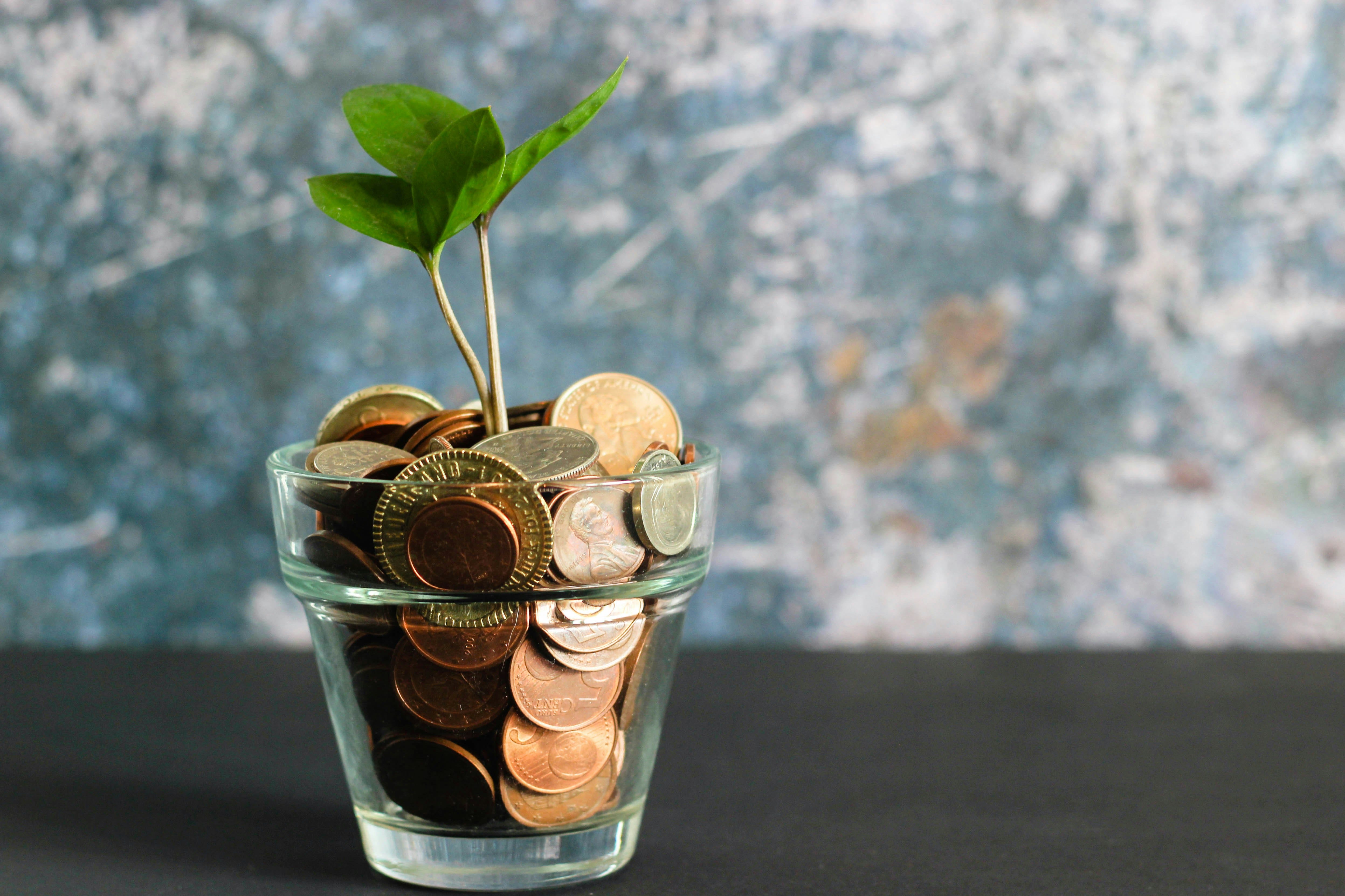 Money Practice - The Practice Center’s Substack