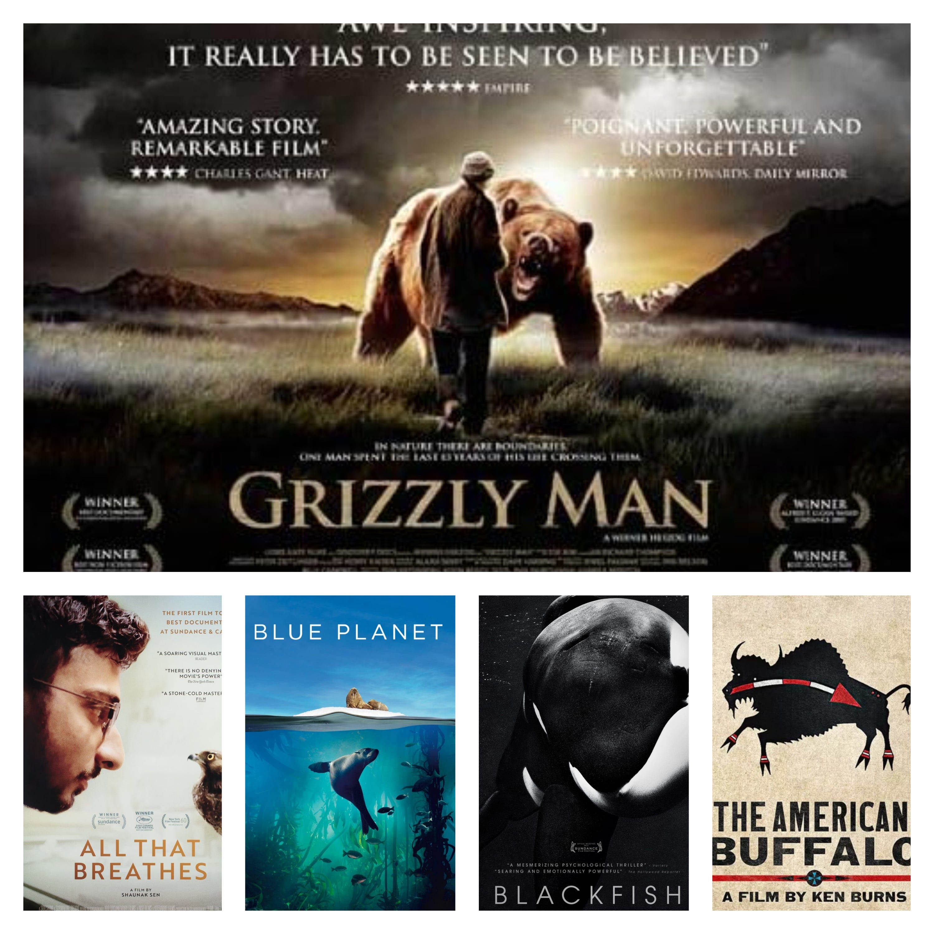 The 25 Best Science and Nature Documentaries of the 21st Century