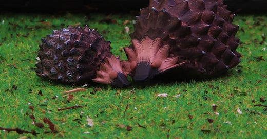 Hugh’s Substack | Hugh Warwick | Substack