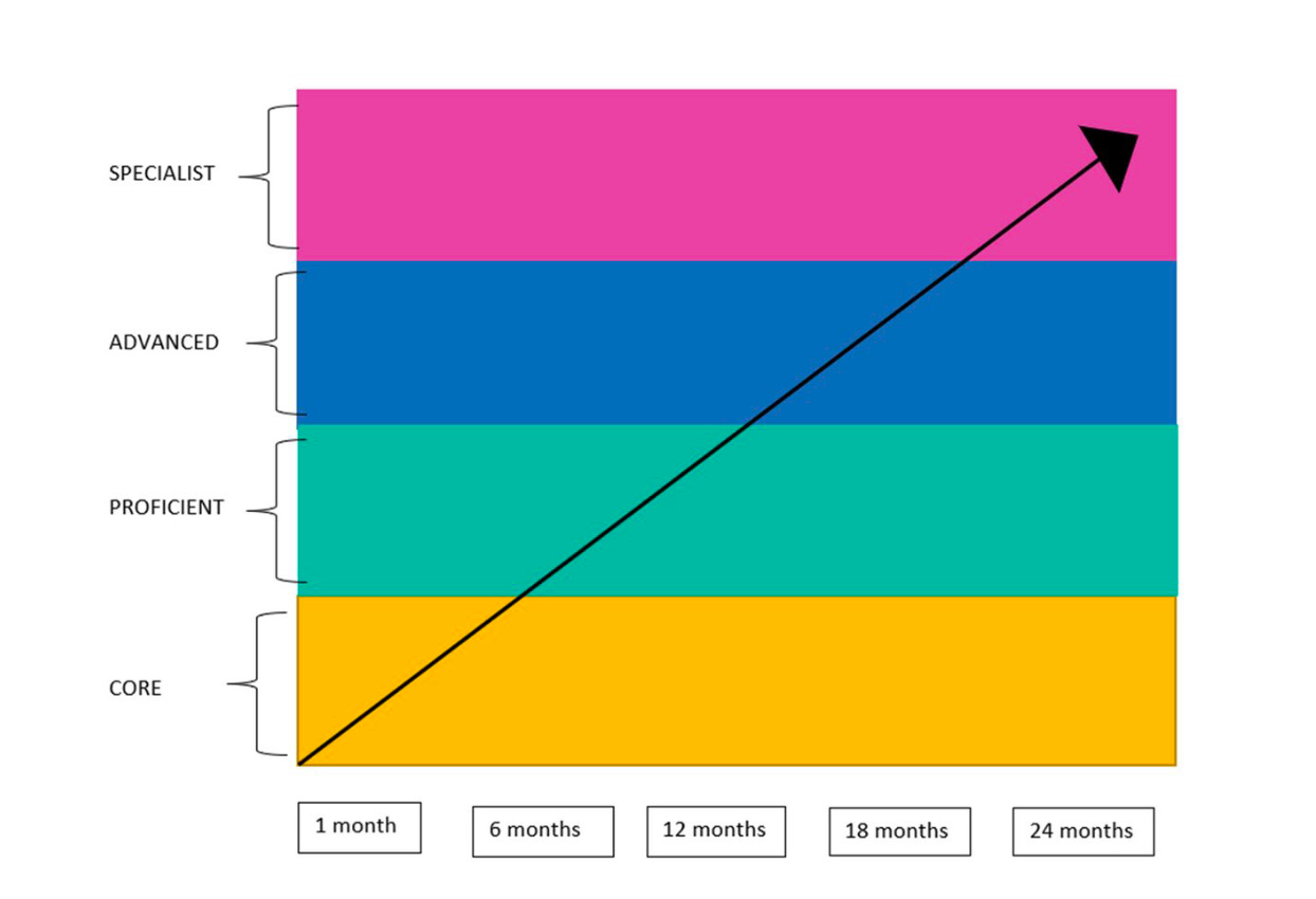 The Four Levels of a Behaviour Support Practitioner - An Overview