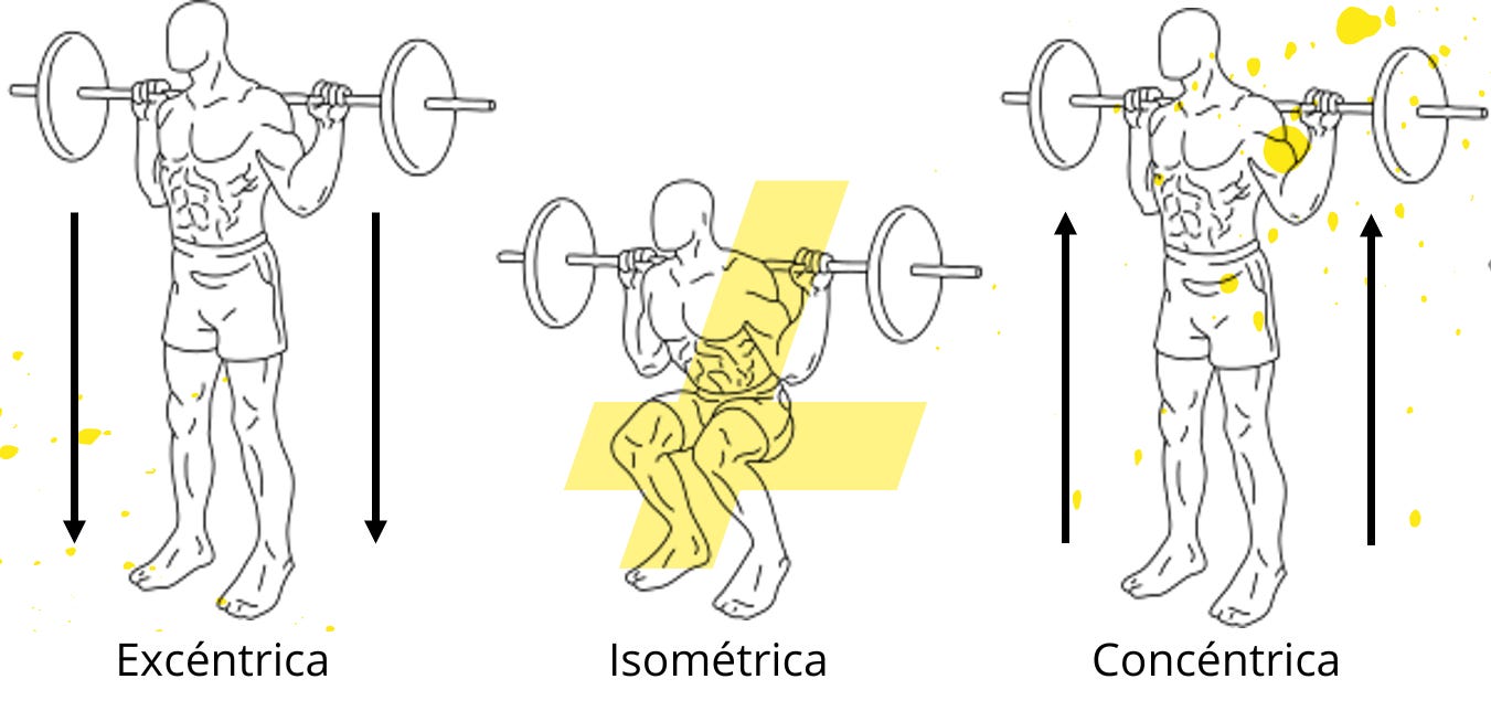 Ejercicios De Contracción Isométrica