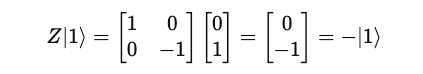 A Lesson On Pauli Matrices As Quantum Gates