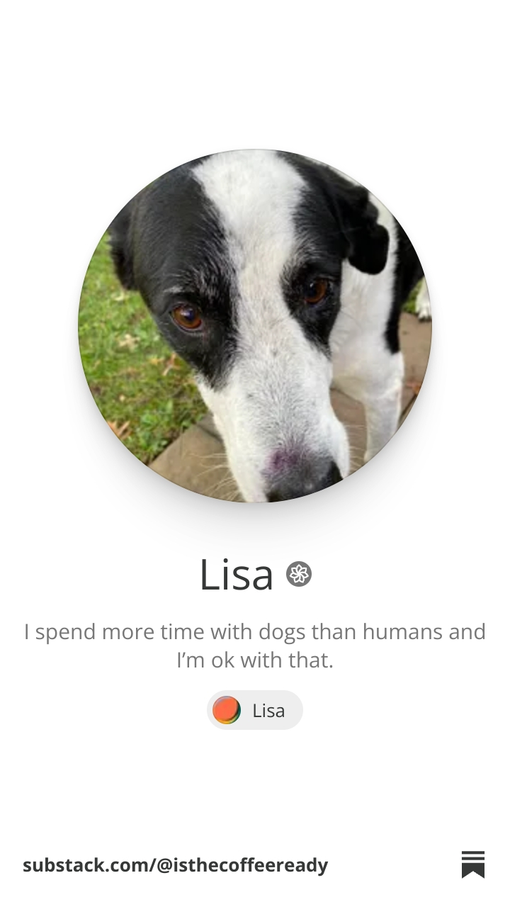 Lisa | Substack