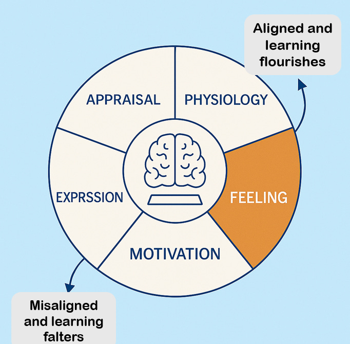 Why Emotion is the Hidden Blueprint of Learning
