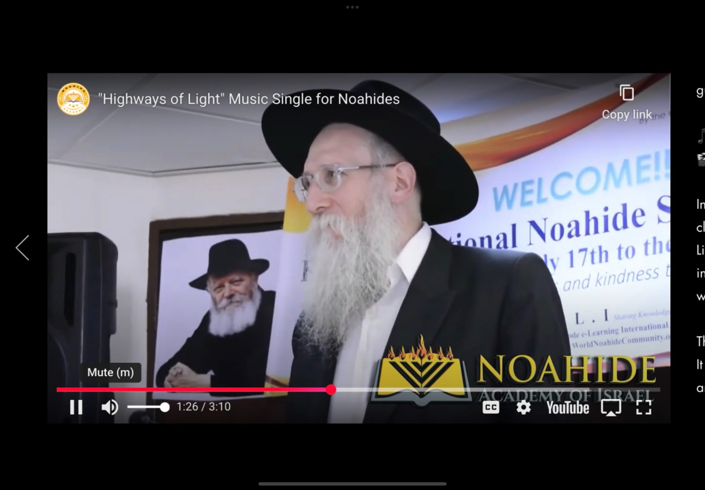 Tovia Singer: Hypocrite - by Jana S Bennun