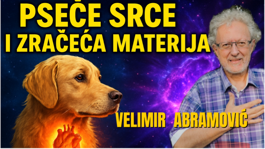 TeslaToday | Nenad Toronto | Substack