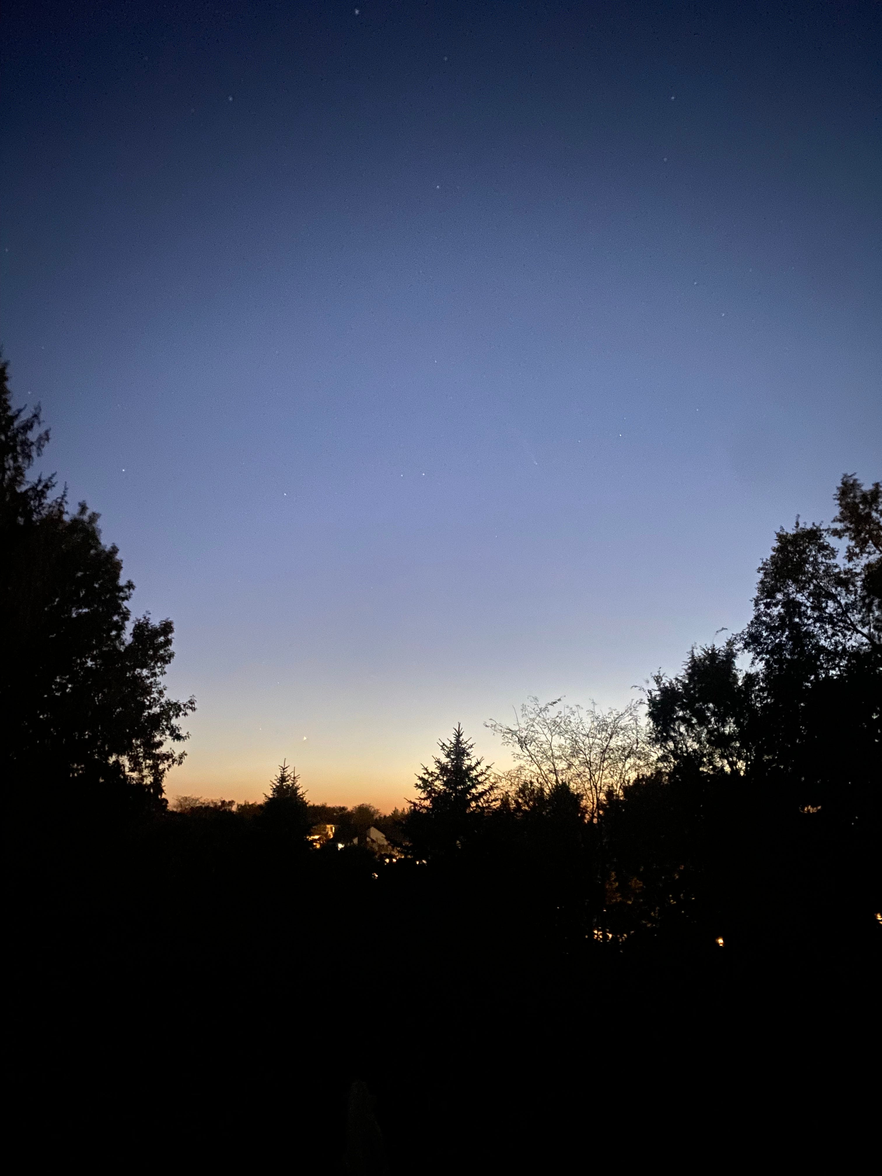 Live from The Gilded Palace - by Chip Albright