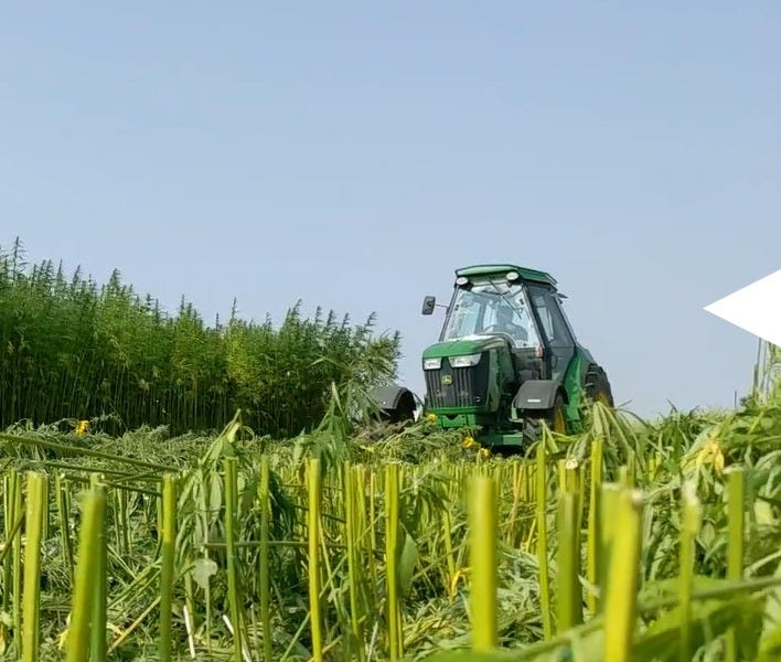 This startup is building homes with hemp - Climatopia