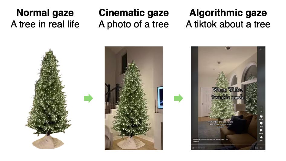 the "algorithmic gaze" affects everything you see online