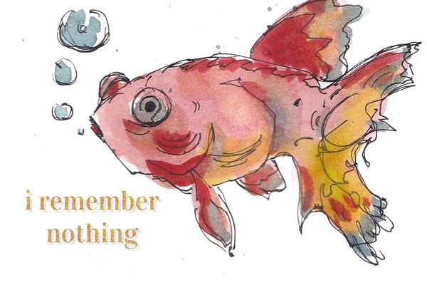 Fishbird Art and Nonsense | Jen Payne - Fishbird Central | Substack