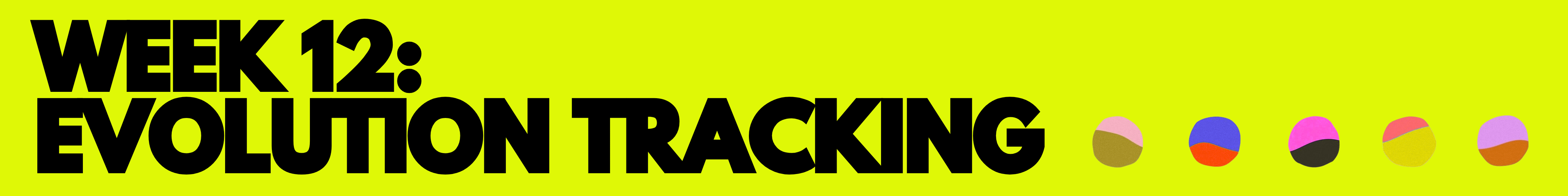 THE DAILY 5: WEEK 12 — EVOLUTION TRACKING