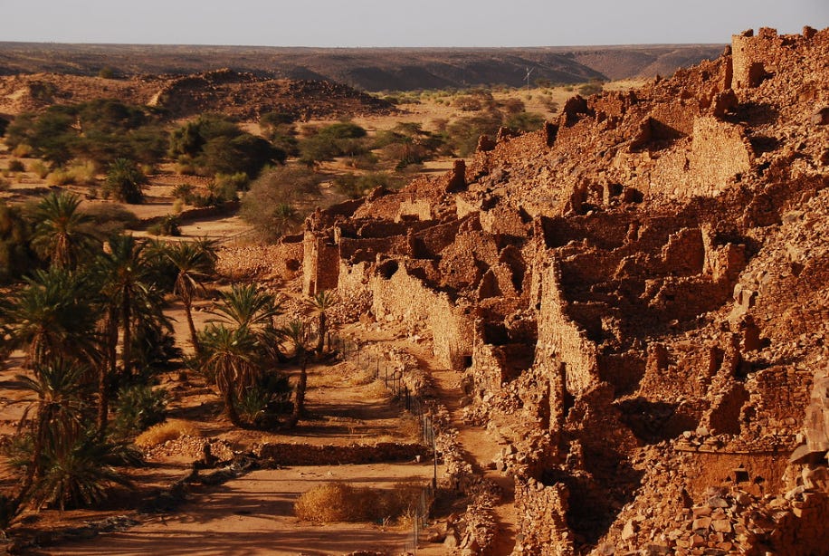 A history of the south-western Saharan towns of Tichitt, Walata, Wadan ...