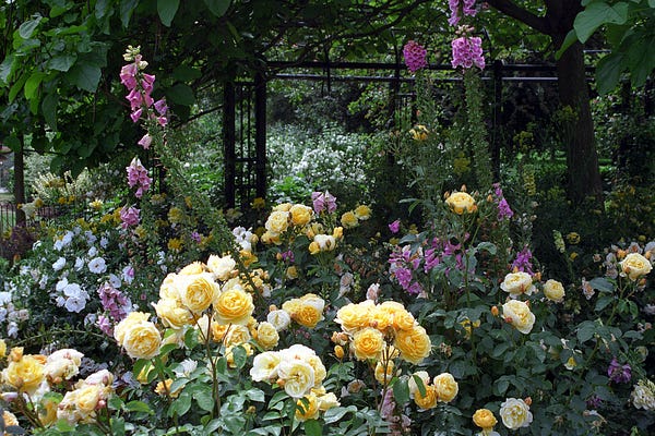 Everyday Heaven...Live Each Extraordinary Day | Cheryl Dalsanders | Substack