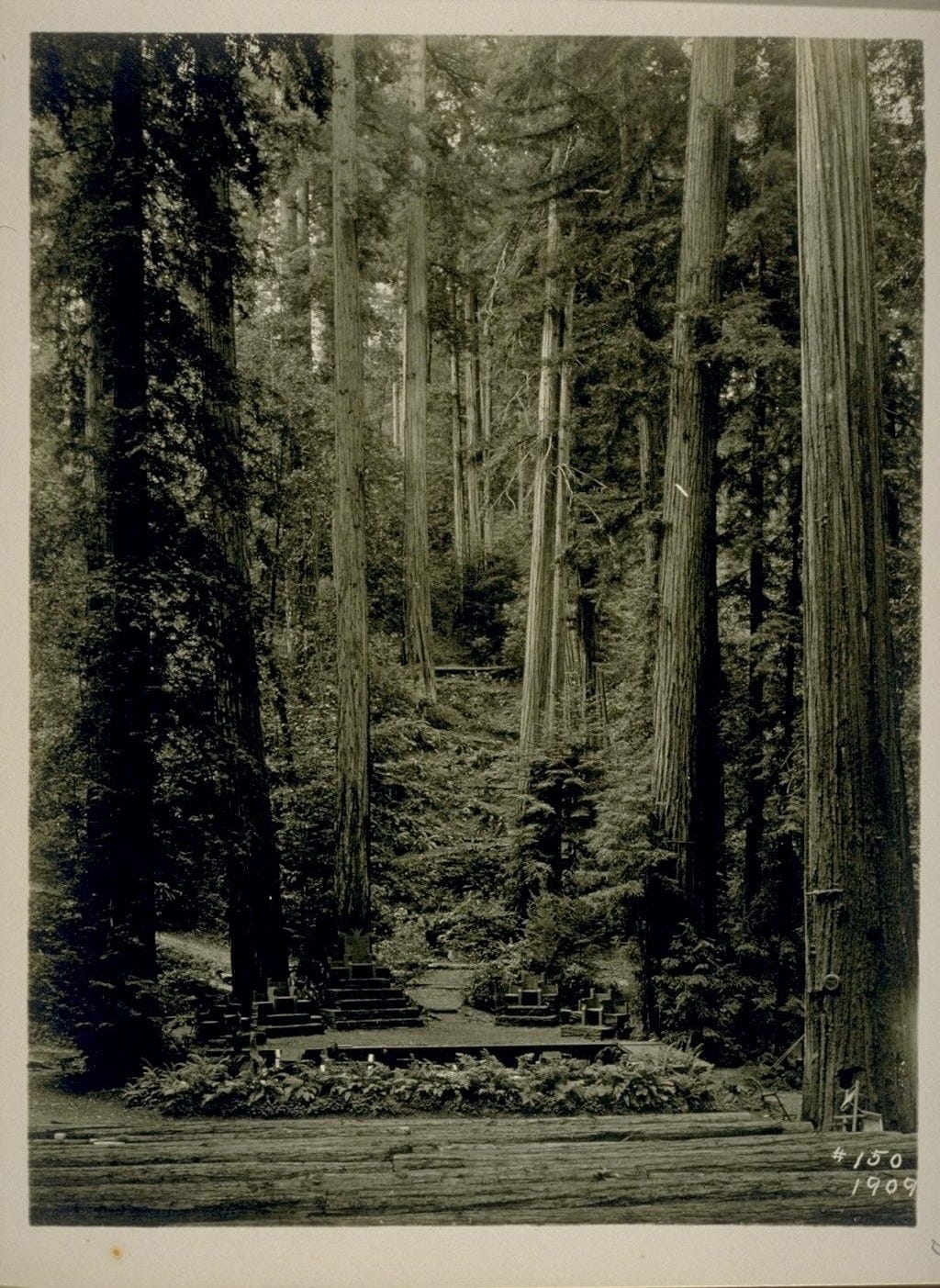 Bohemian Grove: Where Powerful People Gather Each Summer