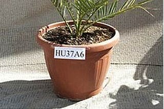 Bible Study Lessons | David E. Pratte | Substack