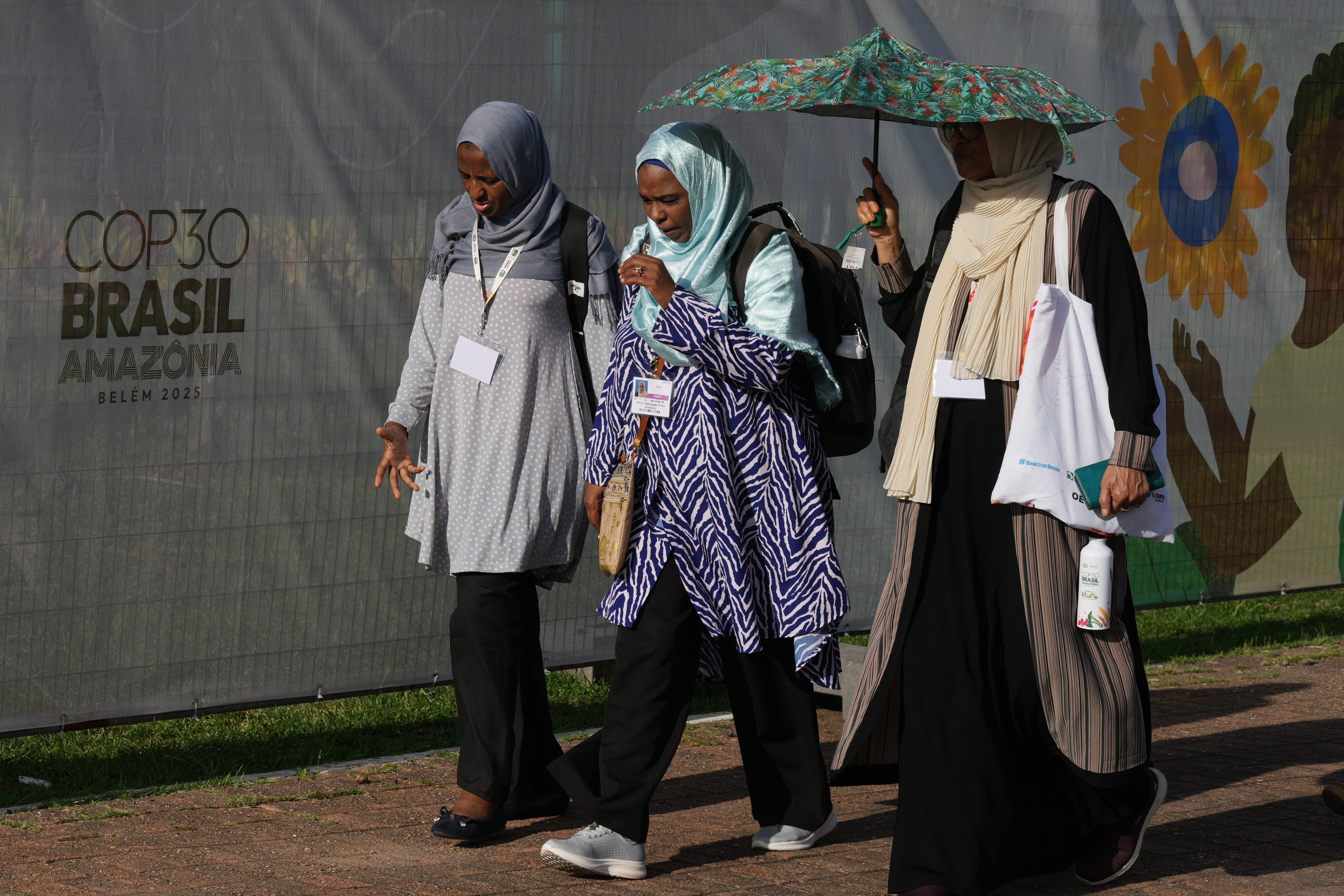 COP30: Demands, conflicting interests and a timetable