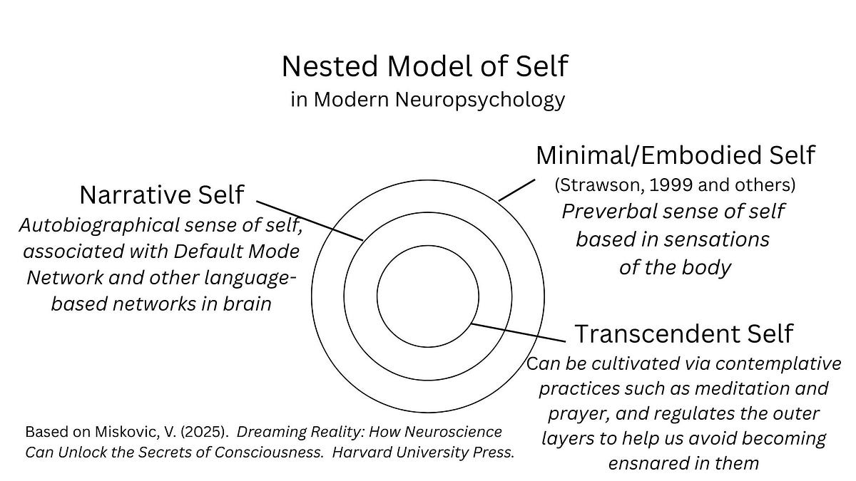 Nested Models of Self: Diagrams to Accompany Today's Episode with Vlad ...
