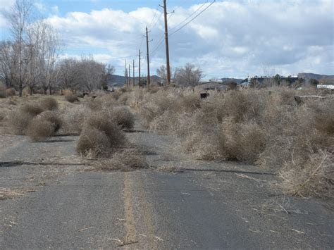 Brier Patch Updates - by Lame Cherry - Lame’s Substack