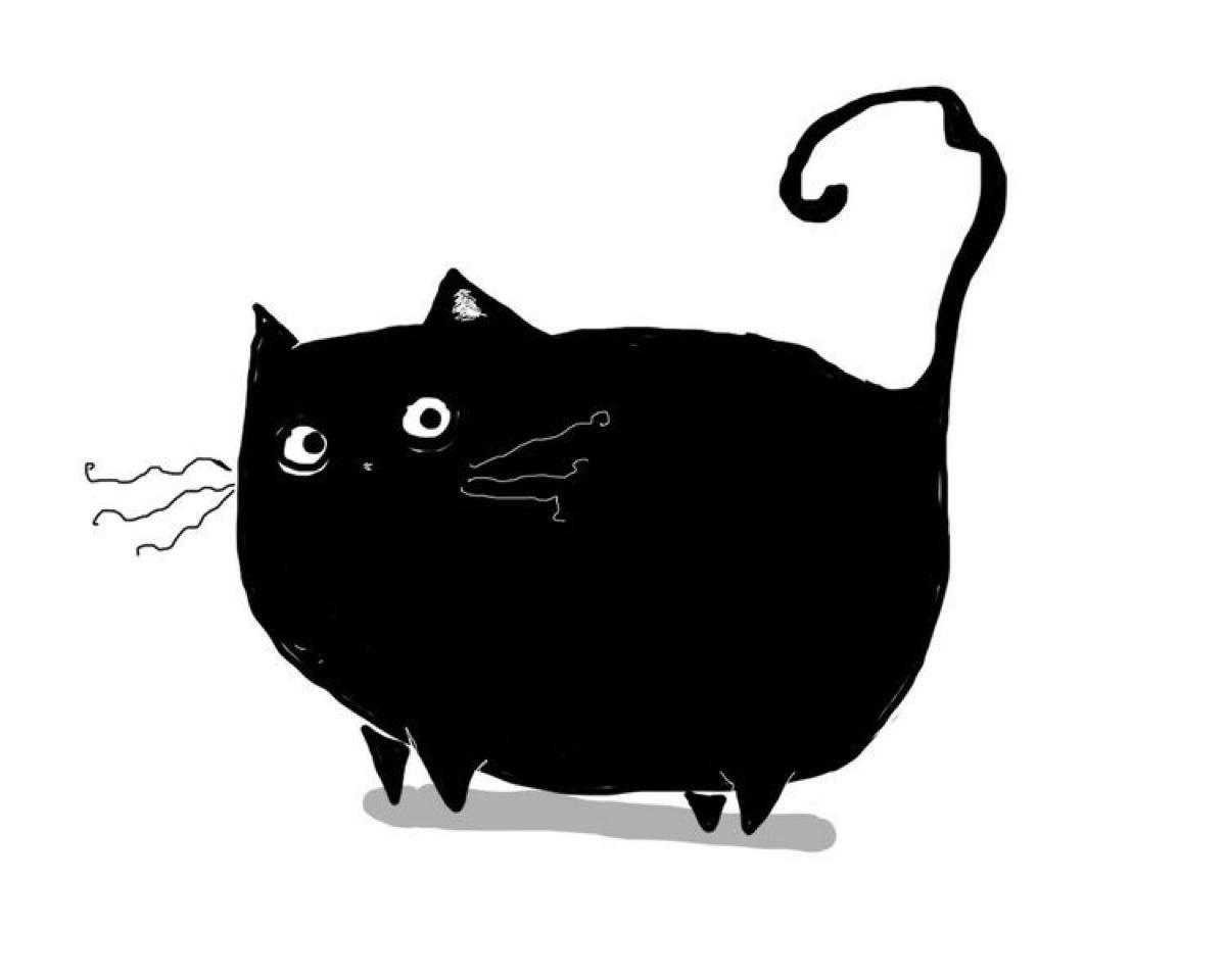 The_Raven_Cat | Substack