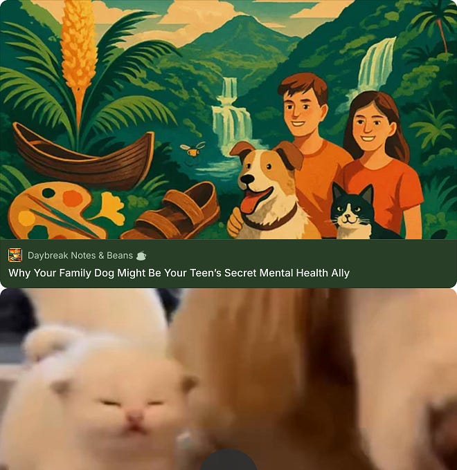 Alexander Verbeek (@theplanet): "Her cat recently gave birth to some kittens. One of them loves ...