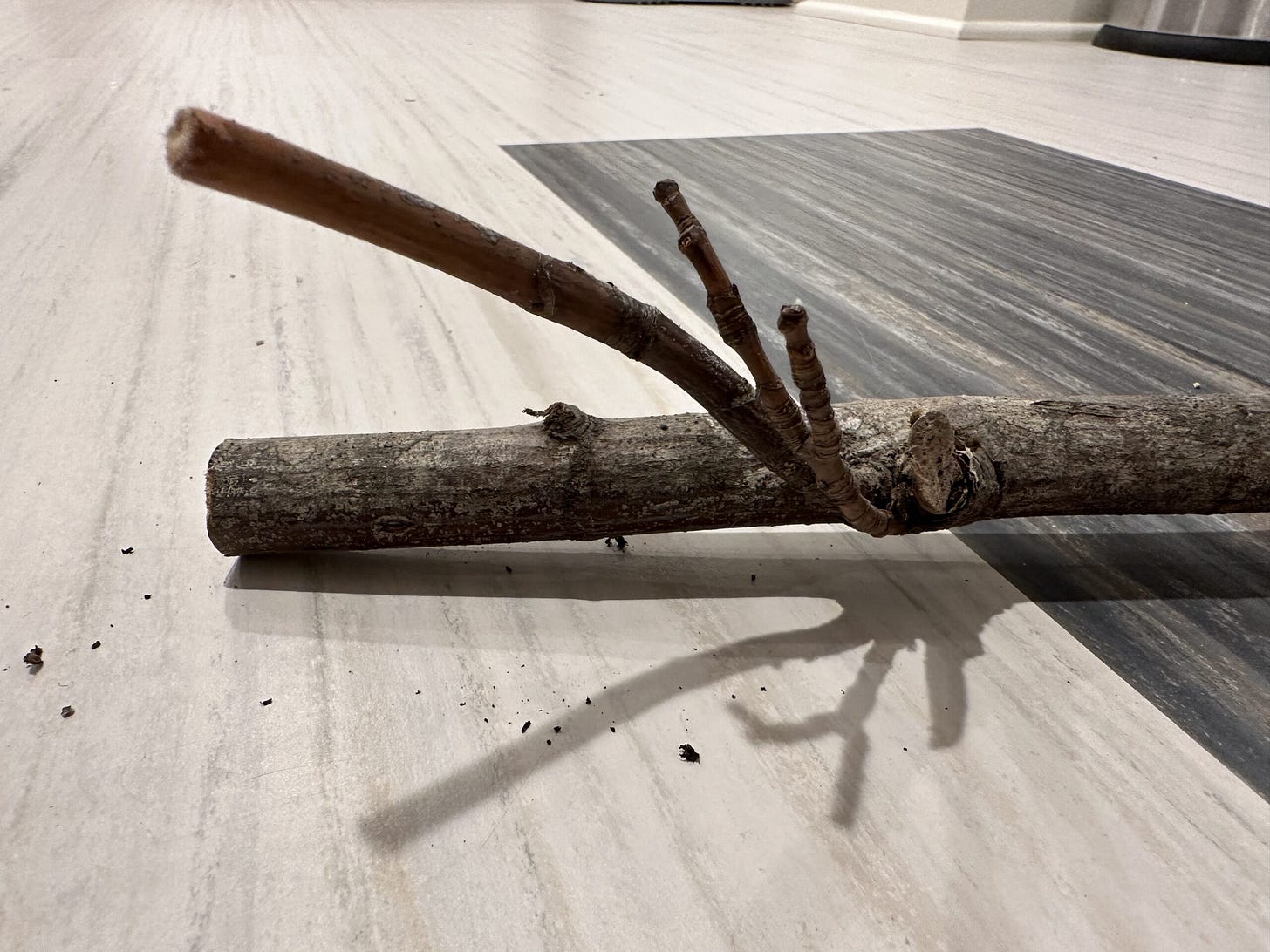 How I made “perch trees” for our aviaries