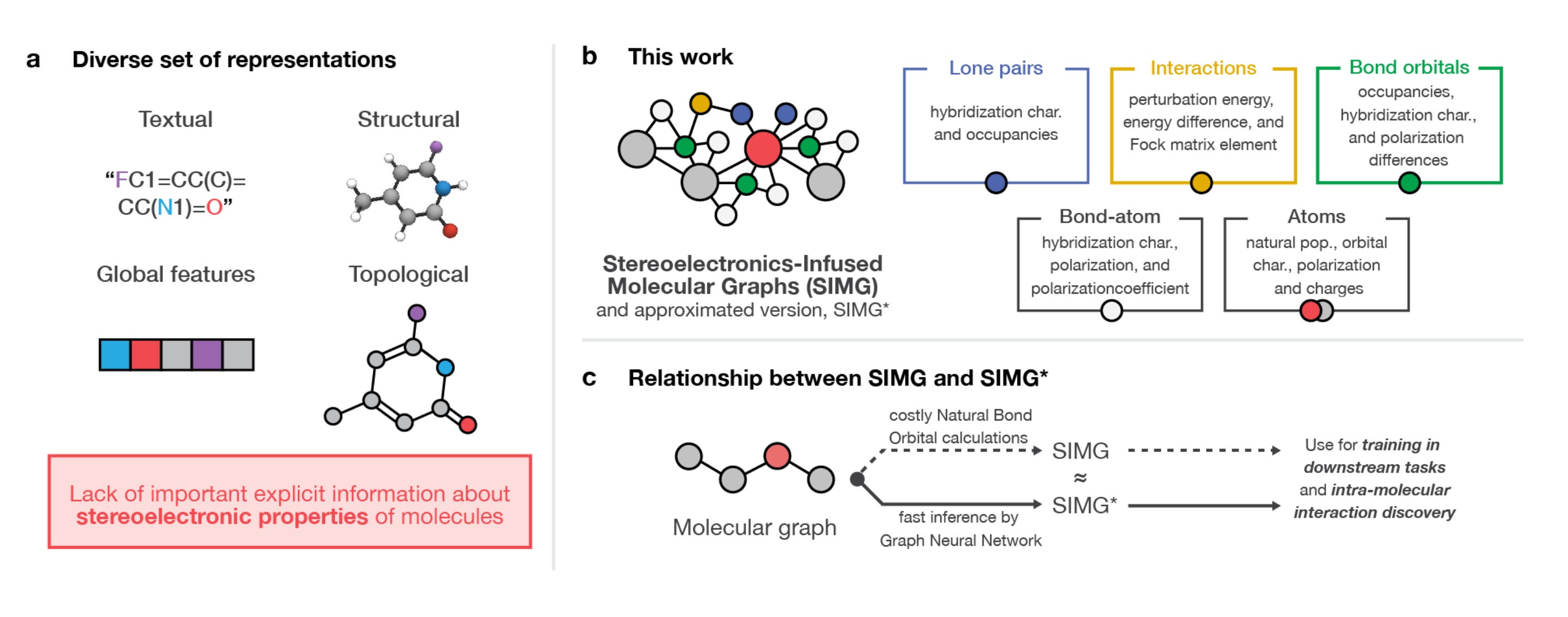 Advancing molecular machine learning through stereoelectronics-infused graph representations