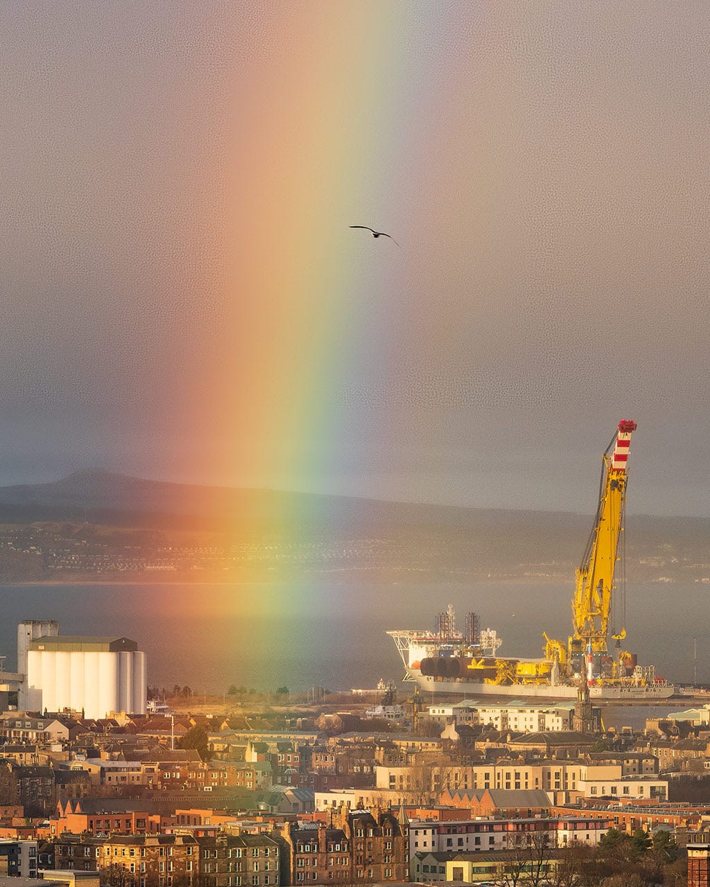 Les Alizés Enormous Crane Vessel at Leith for Wind Farm